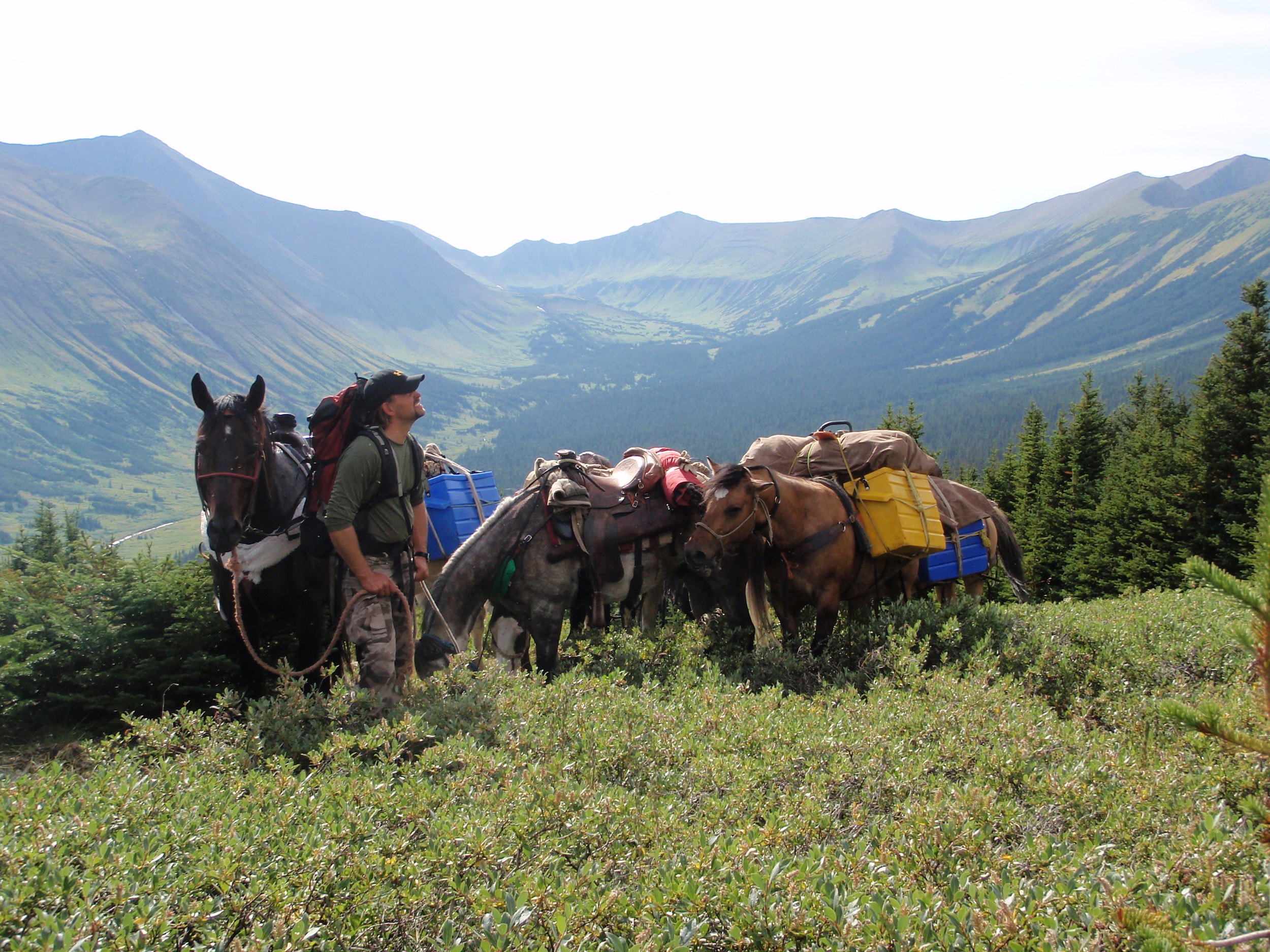 10 day Horseback Combination hunt for Mountain Goat, Moose, and Elk ...